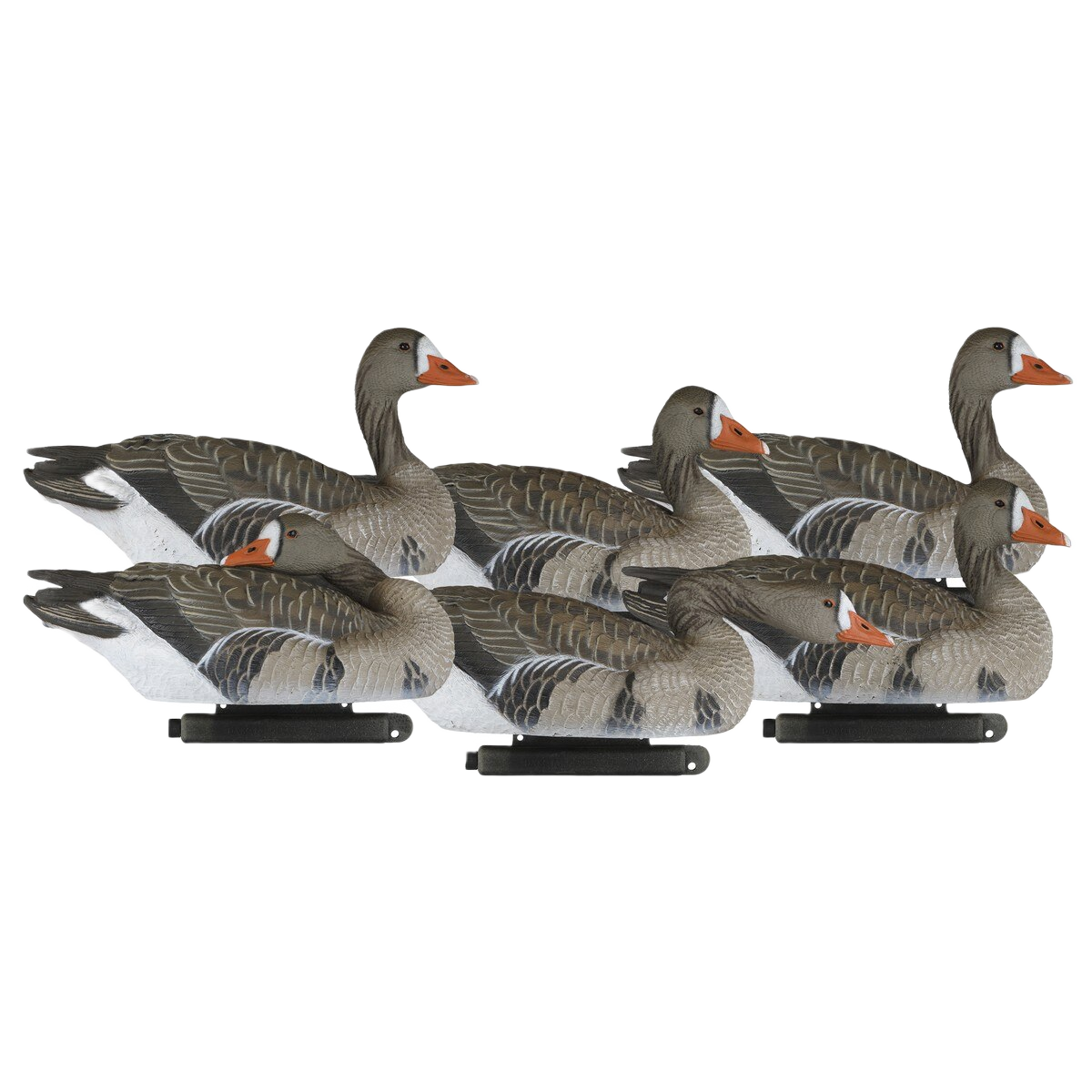 Dakota Specklebelly Floater Goose Decoys 6 Pack | Bass Pro Shops